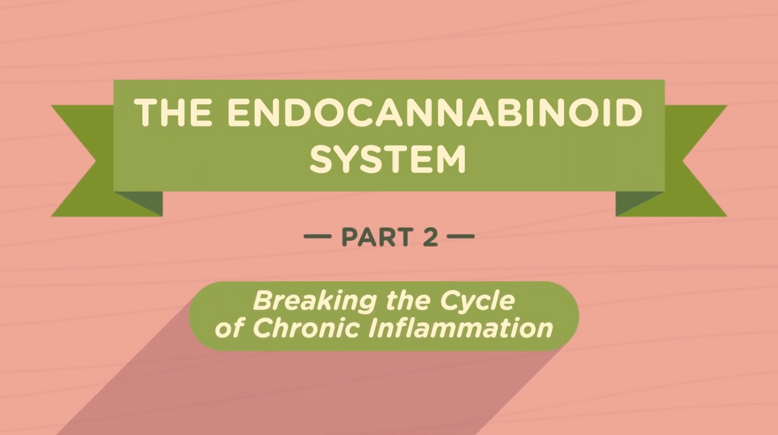 The Endocannabinoid System, Part 2 – Resynate